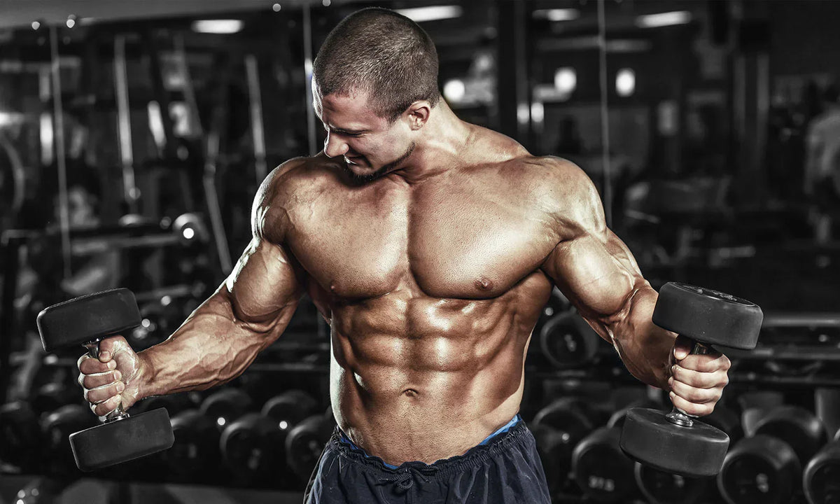 Supplements Stack for Bulking (Beginner to Advanced Guide 2026 ...